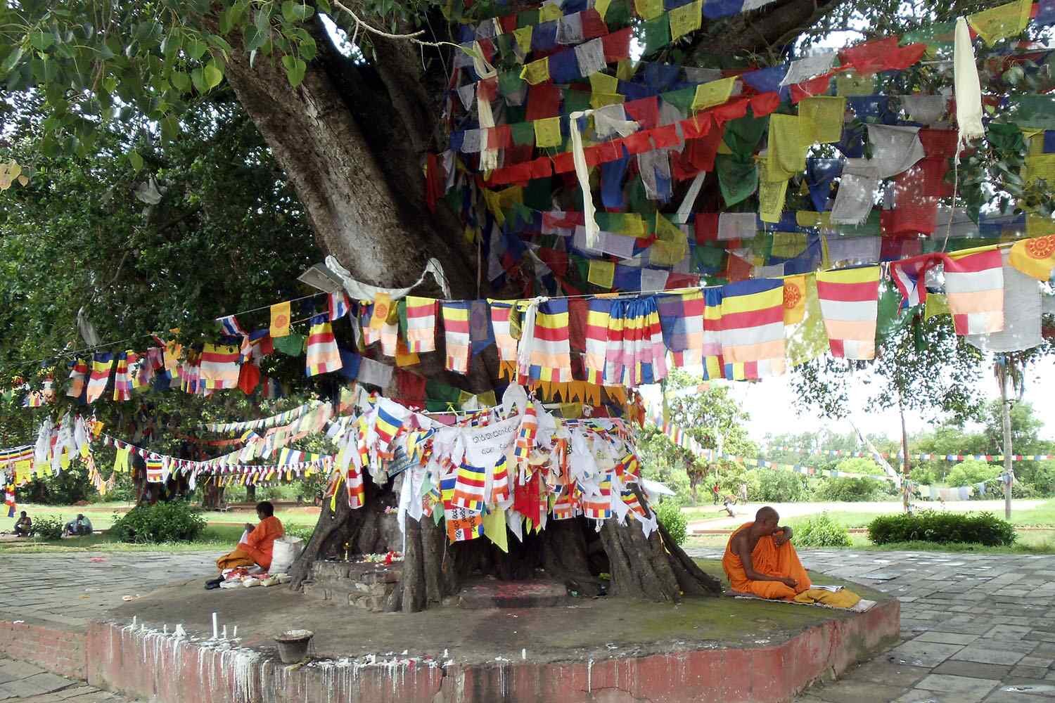 The Birthplace of Buddha - nepedup